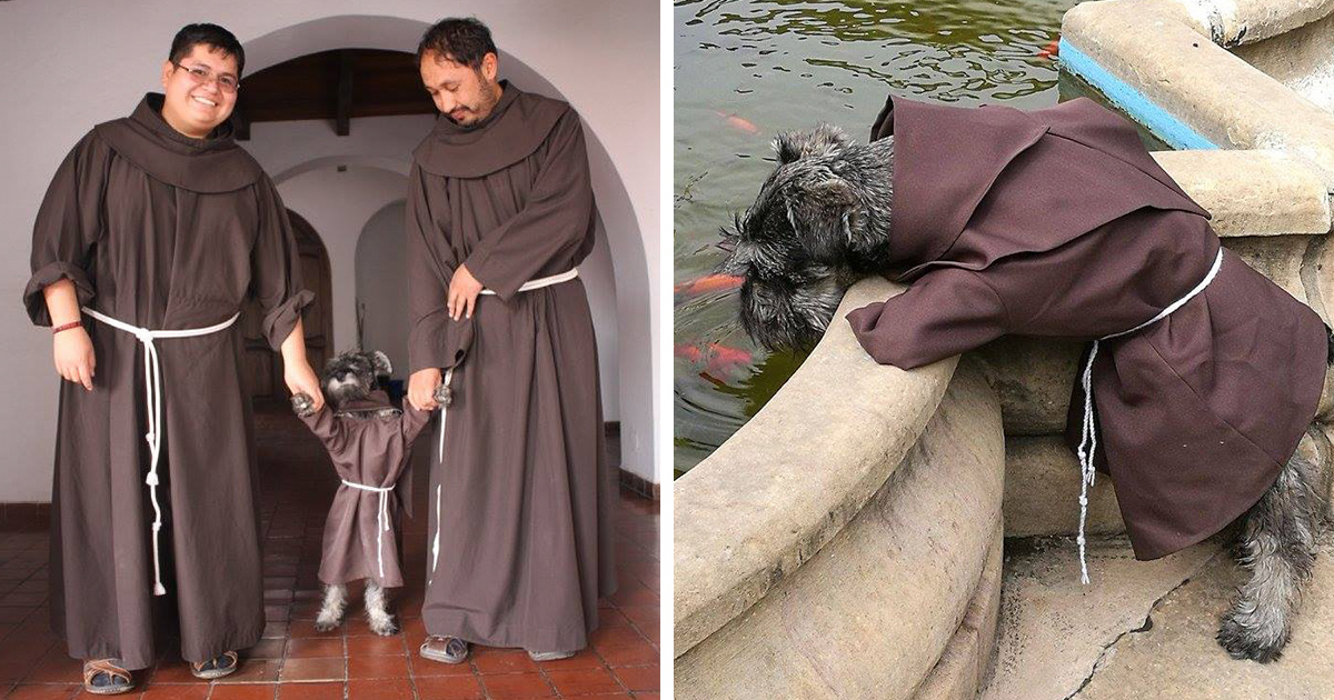 Bolivian Monastery Adopts A Stray Dog And Makes Him An Honorary Monk